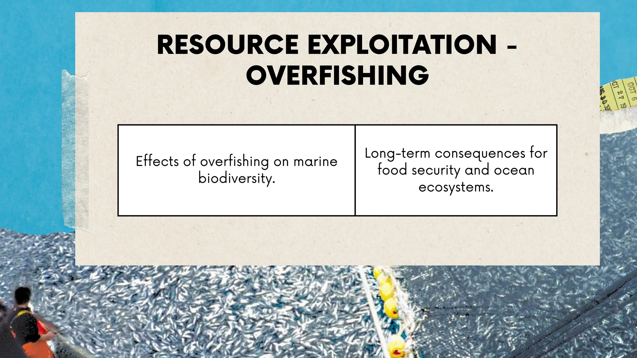 IMPACTS OF HUMAN ACTIVITIES ON ECOSYSTEMS | PDF