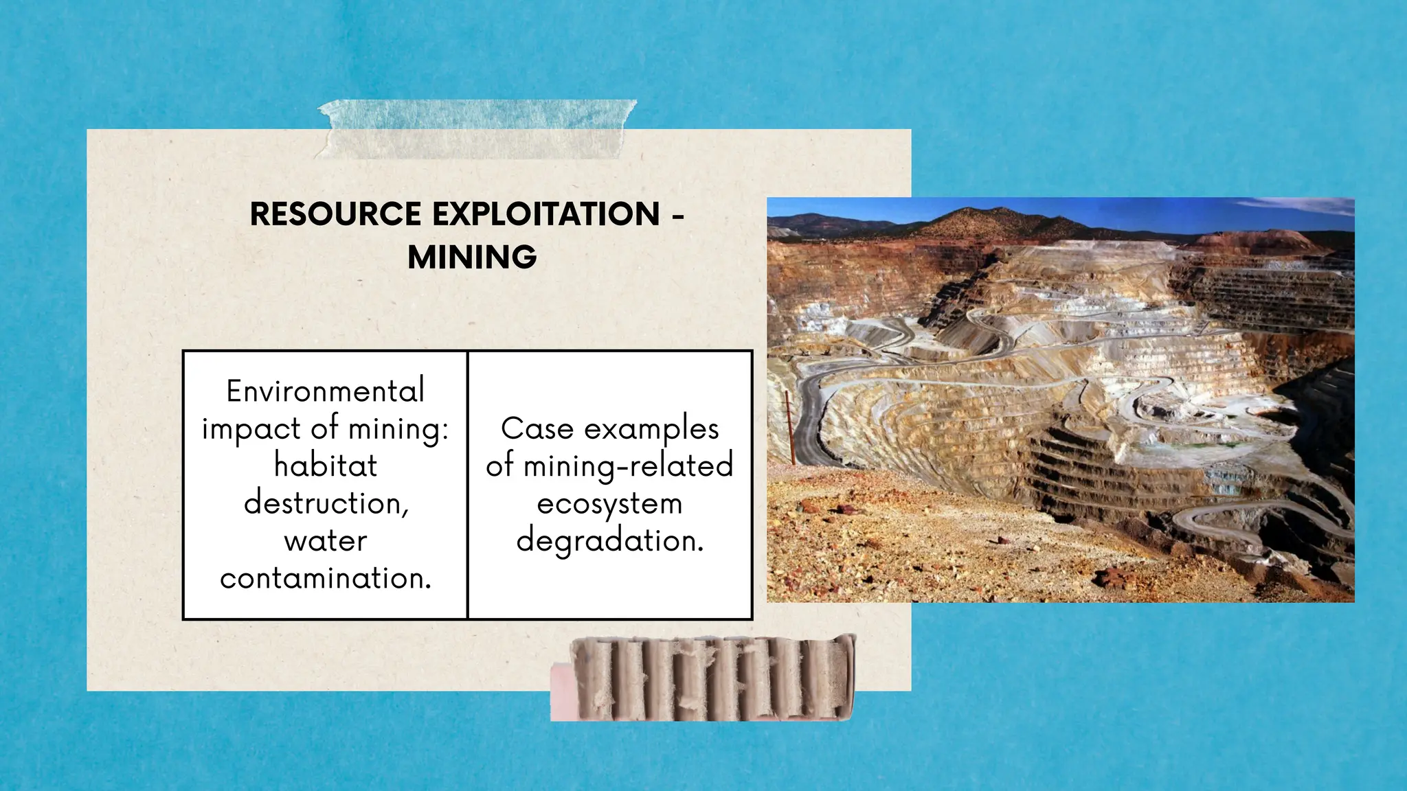 IMPACTS OF HUMAN ACTIVITIES ON ECOSYSTEMS | PDF