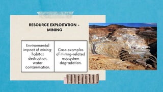 IMPACTS OF HUMAN ACTIVITIES ON ECOSYSTEMS | PDF