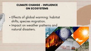 IMPACTS OF HUMAN ACTIVITIES ON ECOSYSTEMS | PDF
