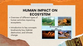 IMPACTS OF HUMAN ACTIVITIES ON ECOSYSTEMS | PDF
