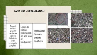 IMPACTS OF HUMAN ACTIVITIES ON ECOSYSTEMS | PDF