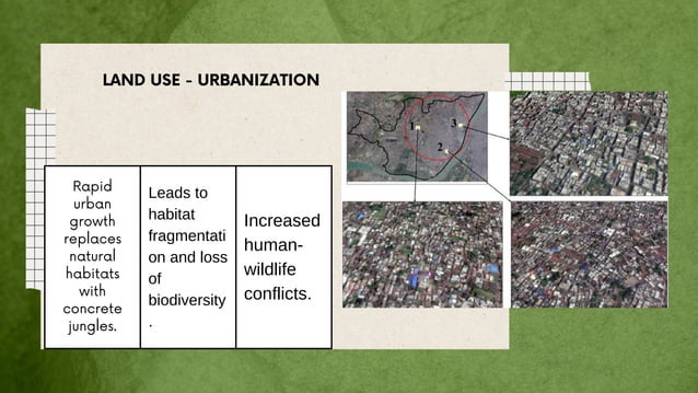 IMPACTS OF HUMAN ACTIVITIES ON ECOSYSTEMS | PPT