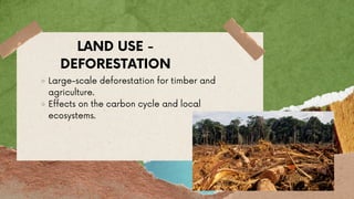 IMPACTS OF HUMAN ACTIVITIES ON ECOSYSTEMS | PDF
