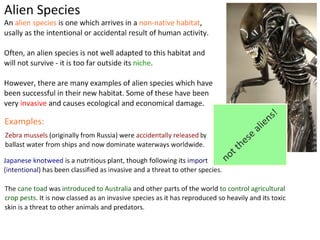 Impacts of Humans on Ecosystems | PPT