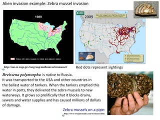 Impacts of Humans on Ecosystems | PPT
