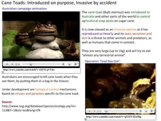 Impacts of Humans on Ecosystems | PPT