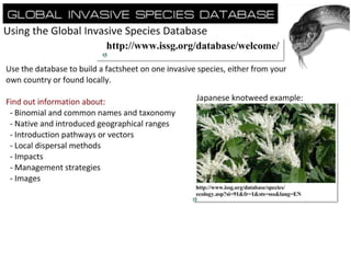 Impacts of Humans on Ecosystems | PPT