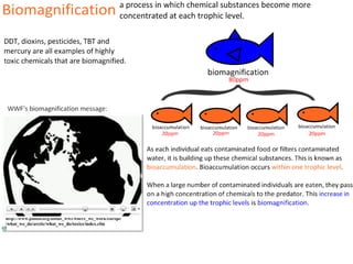 Impacts of Humans on Ecosystems | PPT