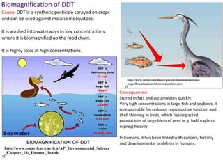 Impacts of Humans on Ecosystems | PPT