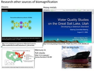 Impacts of Humans on Ecosystems | PPT