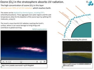Impacts of Humans on Ecosystems | PPT