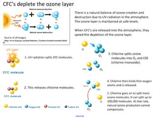 Impacts of Humans on Ecosystems | PPT