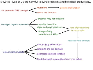 Impacts of Humans on Ecosystems | PPT
