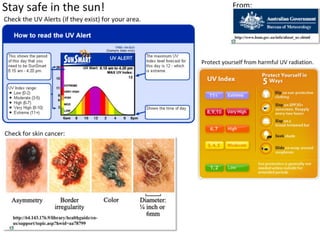 Impacts of Humans on Ecosystems | PPT