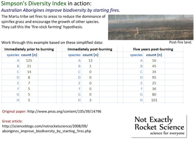Impacts of Humans on Ecosystems | PPT
