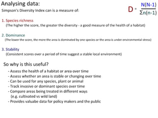 Impacts of Humans on Ecosystems | PPT