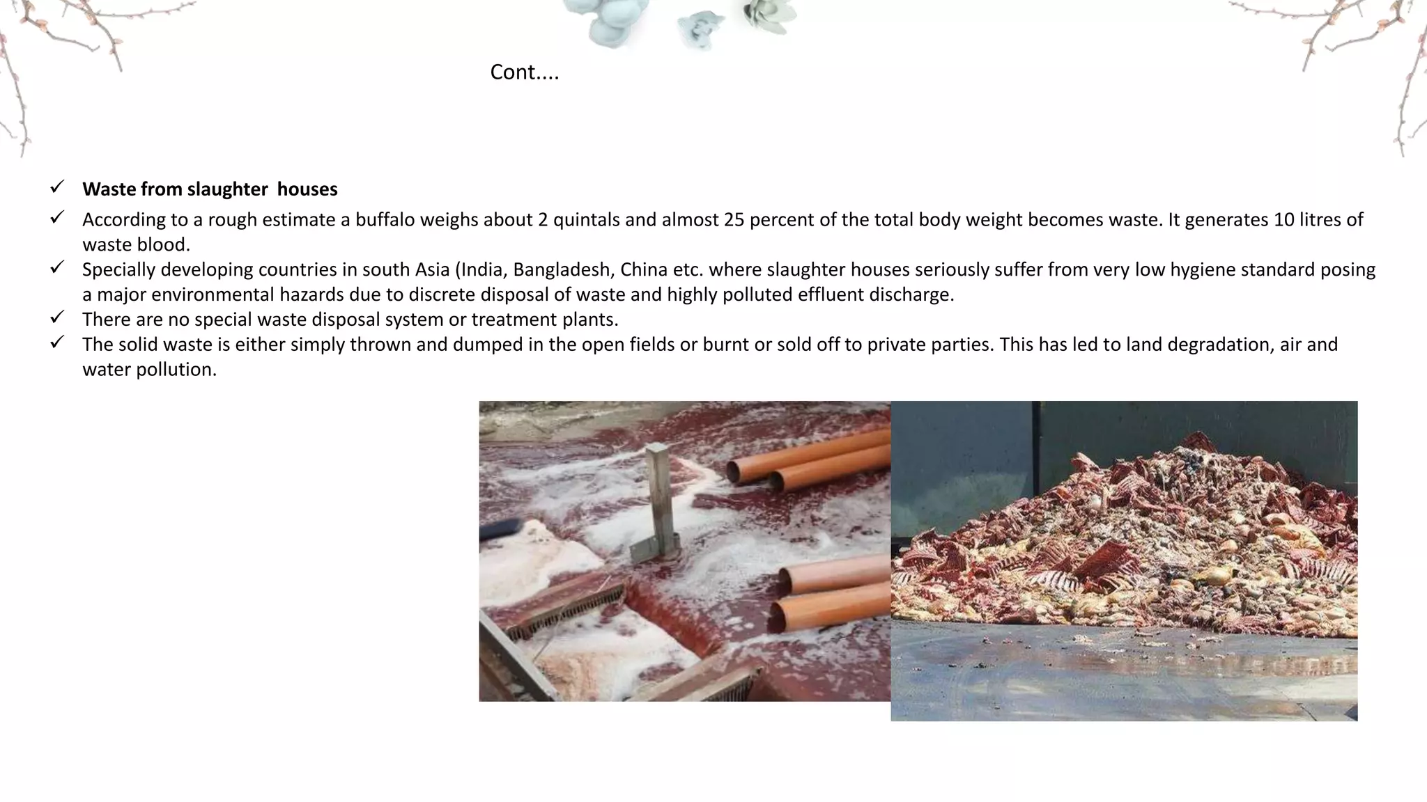 impacts of meat industries on environment-1.pptx