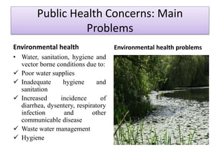 Impacts of natural disaster globally public health | PPTX