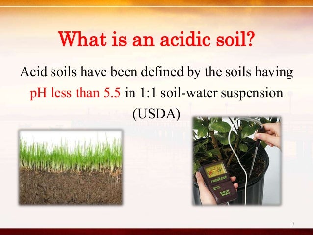 Impacts of soil acidity in wet zone Sri Lanka