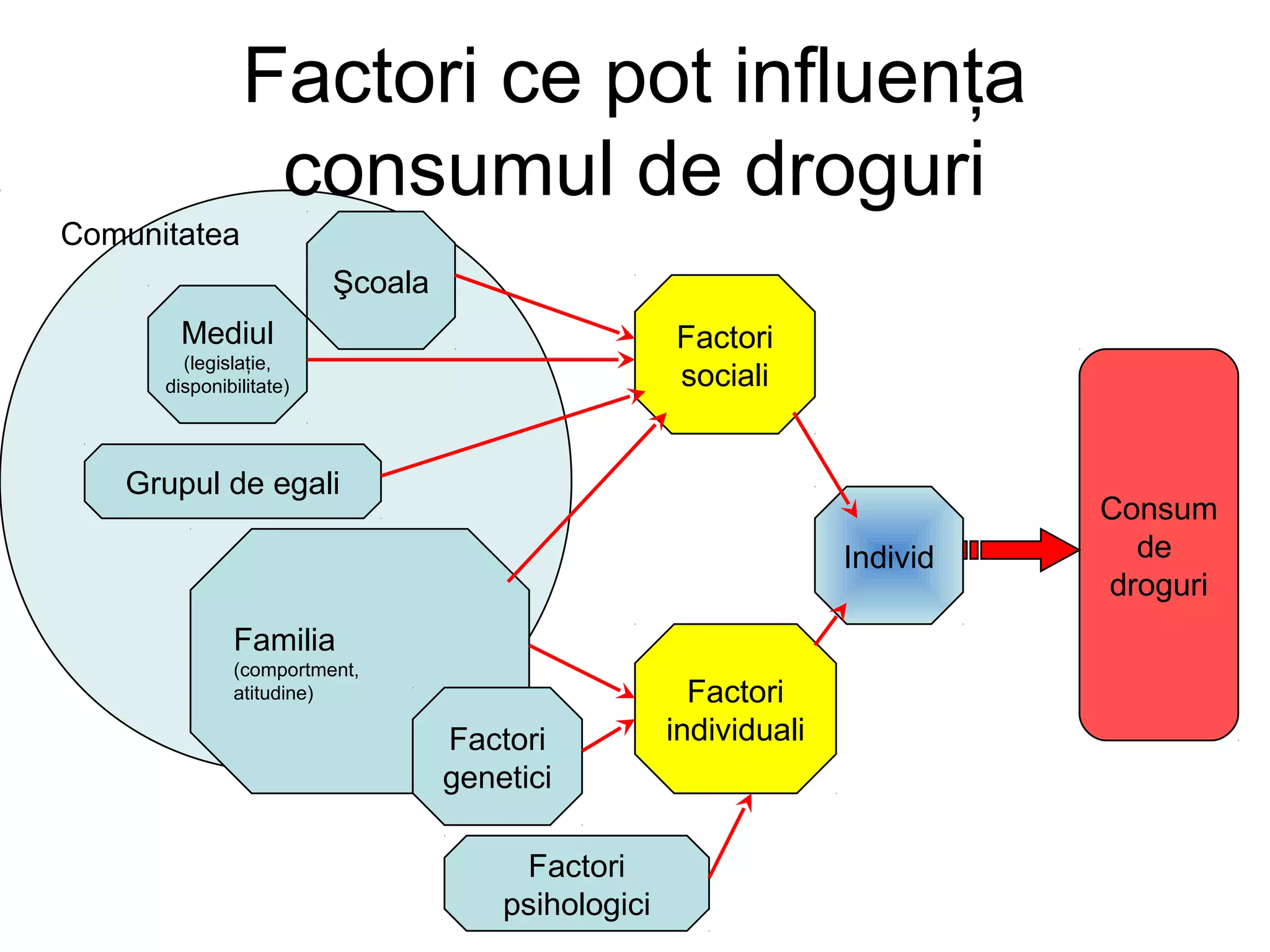 Eudochia PACIU. Impactul consumului de droguri. | PPT