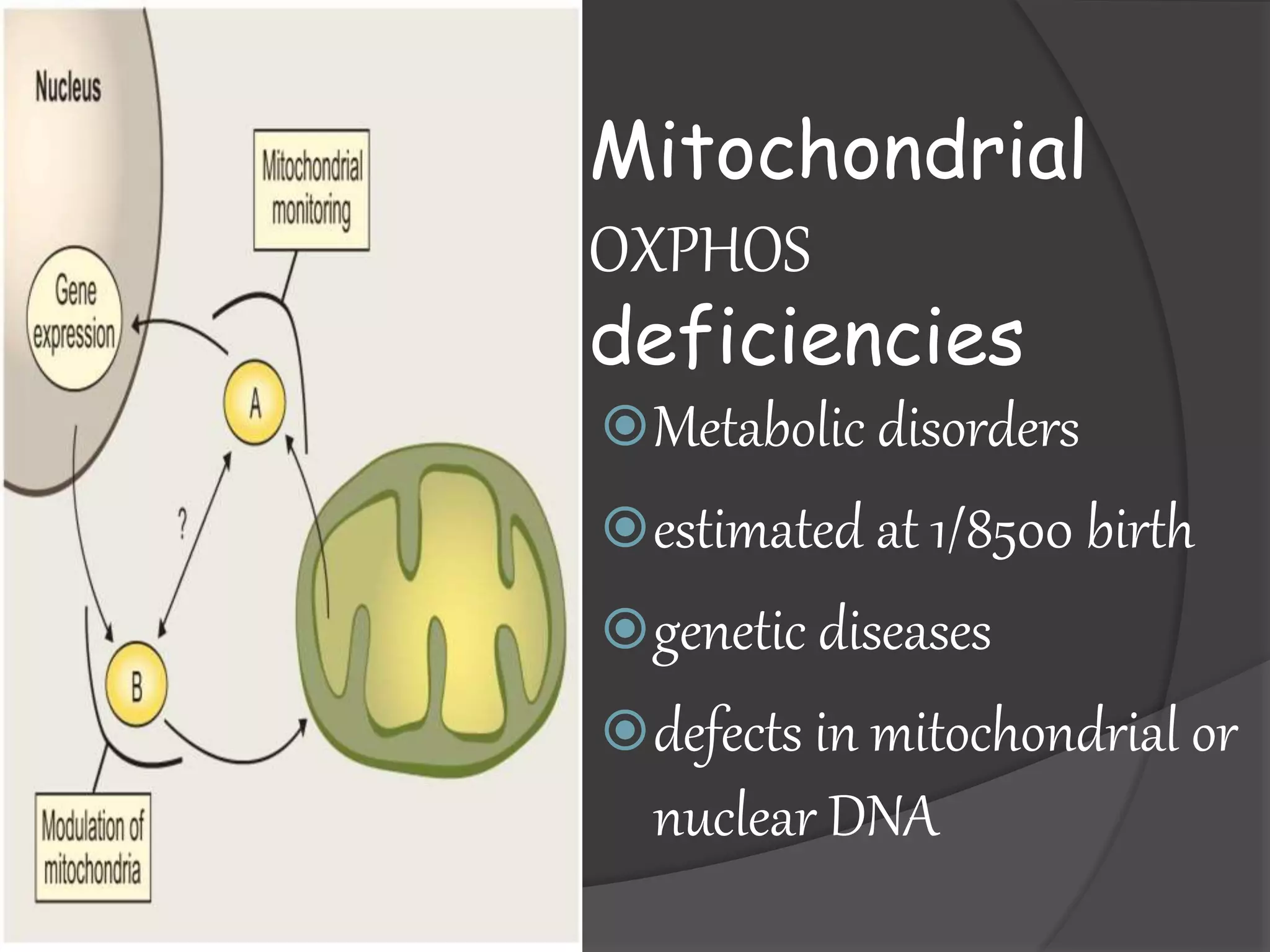 Impaired mitochondrial protein synthesis | PPTX