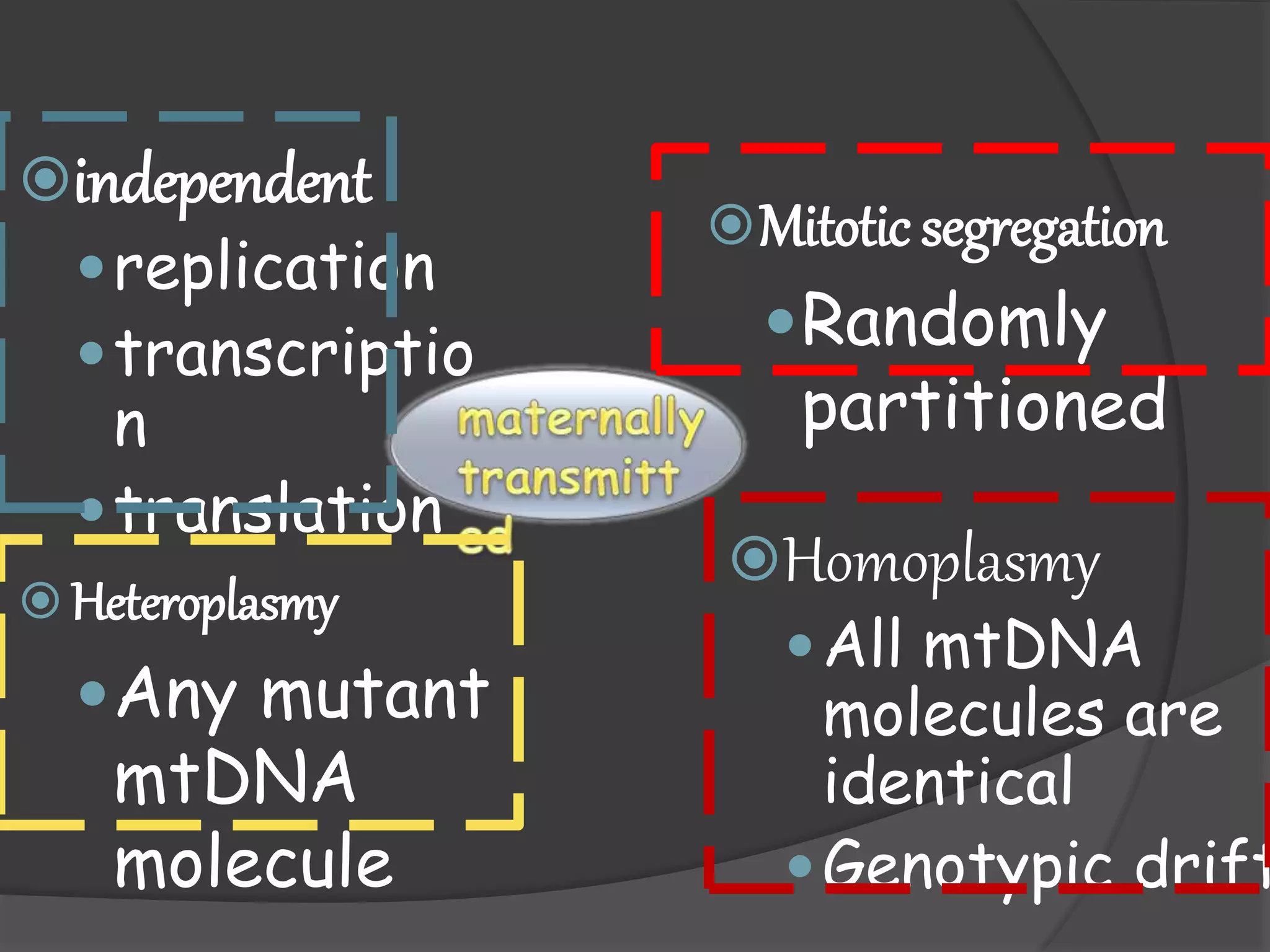 Impaired mitochondrial protein synthesis | PPTX