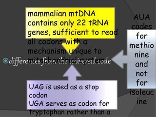 Impaired mitochondrial protein synthesis | PPTX