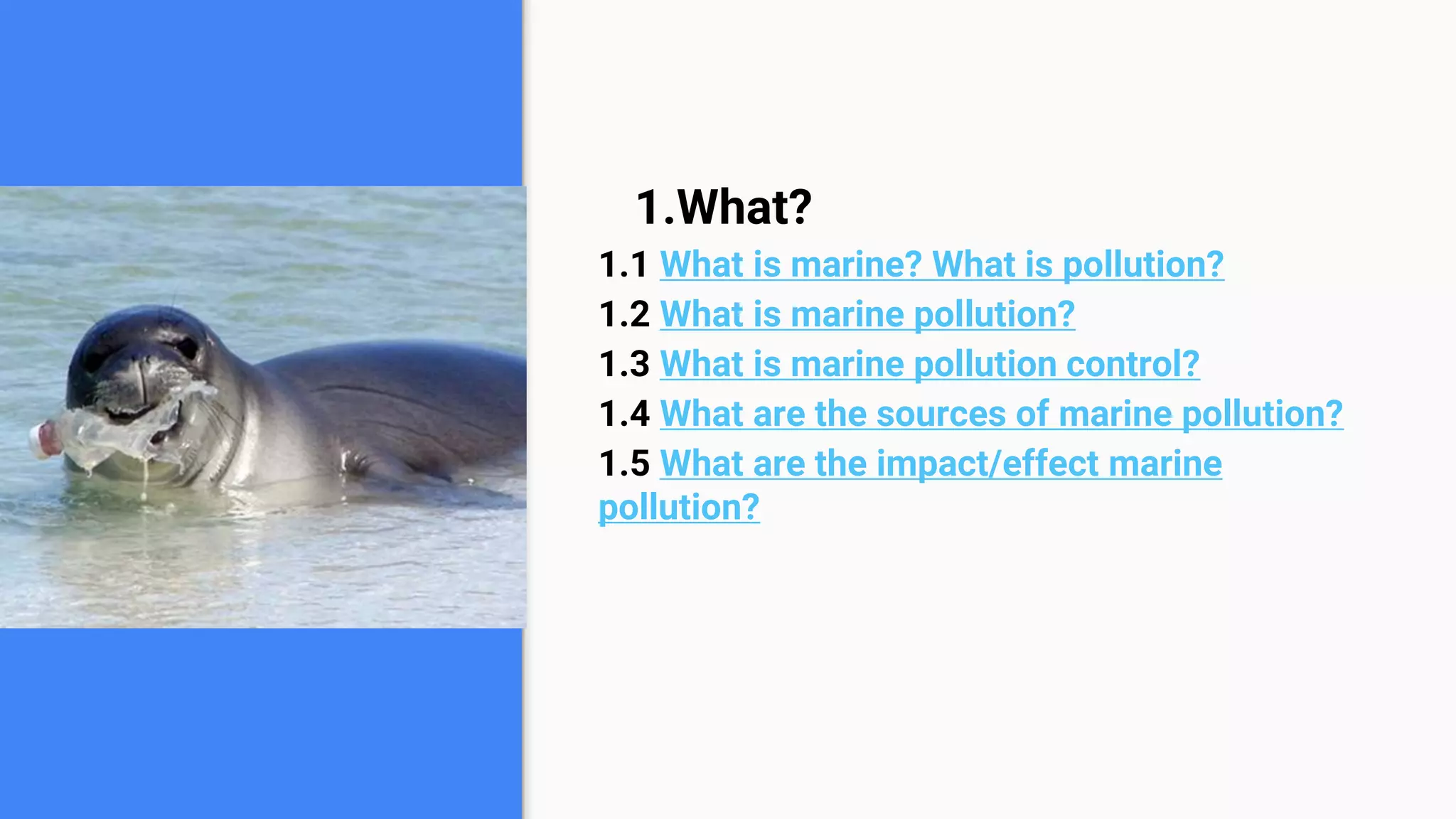 Introduction to Marine Pollution Control