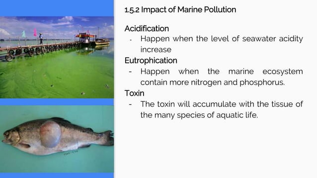 Introduction to Marine Pollution Control