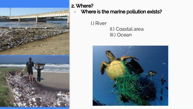 Introduction to Marine Pollution Control