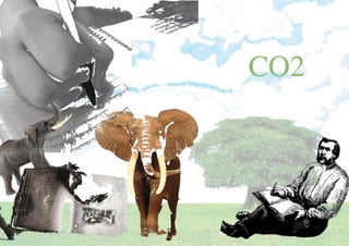 co2 Pdf | PDF