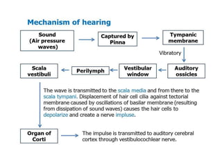 Impedance audiometry | PPTX