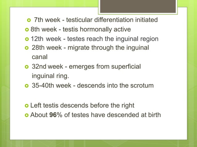 Undescended testes | PPTX