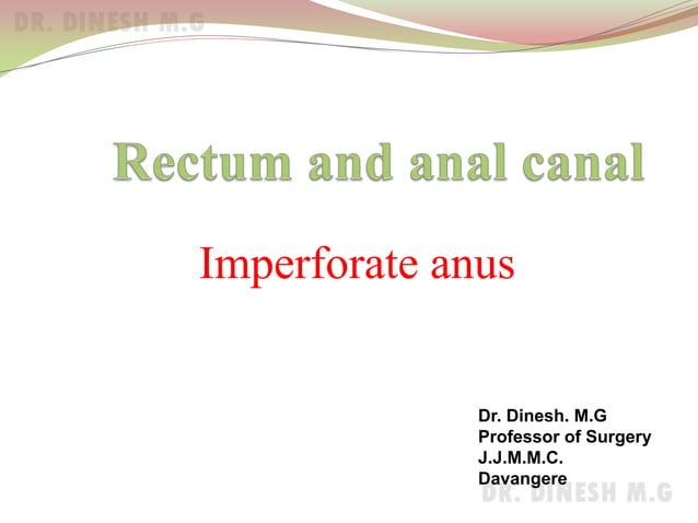 Imperforate Anus | PDF | Digestive Disorders | Diseases and Conditions