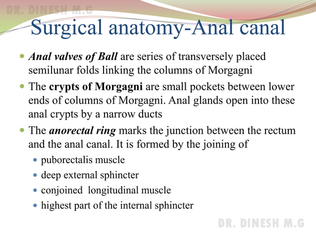 Imperforate Anus | PDF | Digestive Disorders | Diseases and Conditions