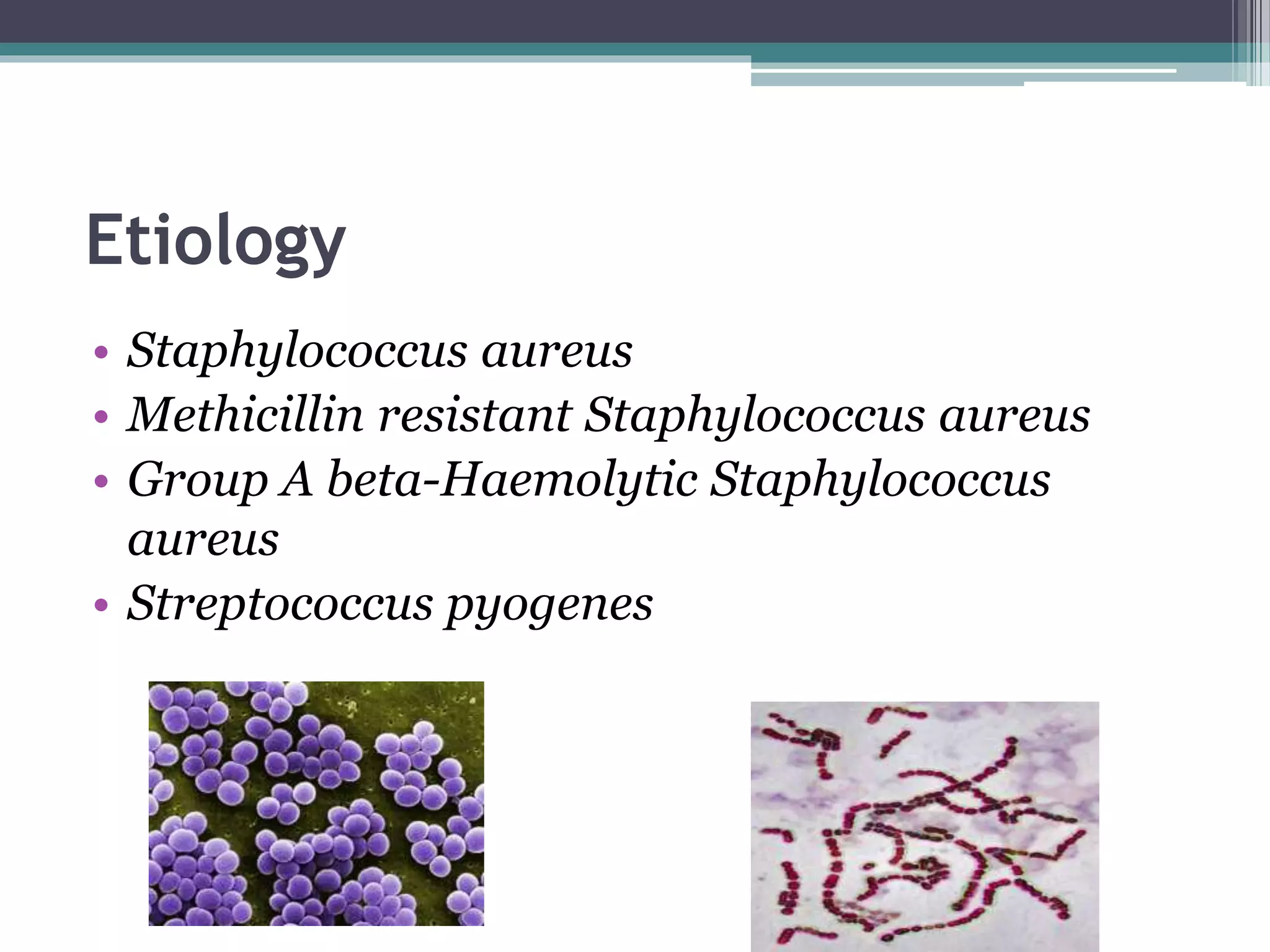 Impetigo | PPTX
