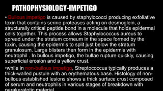 Impetigo | PPTX