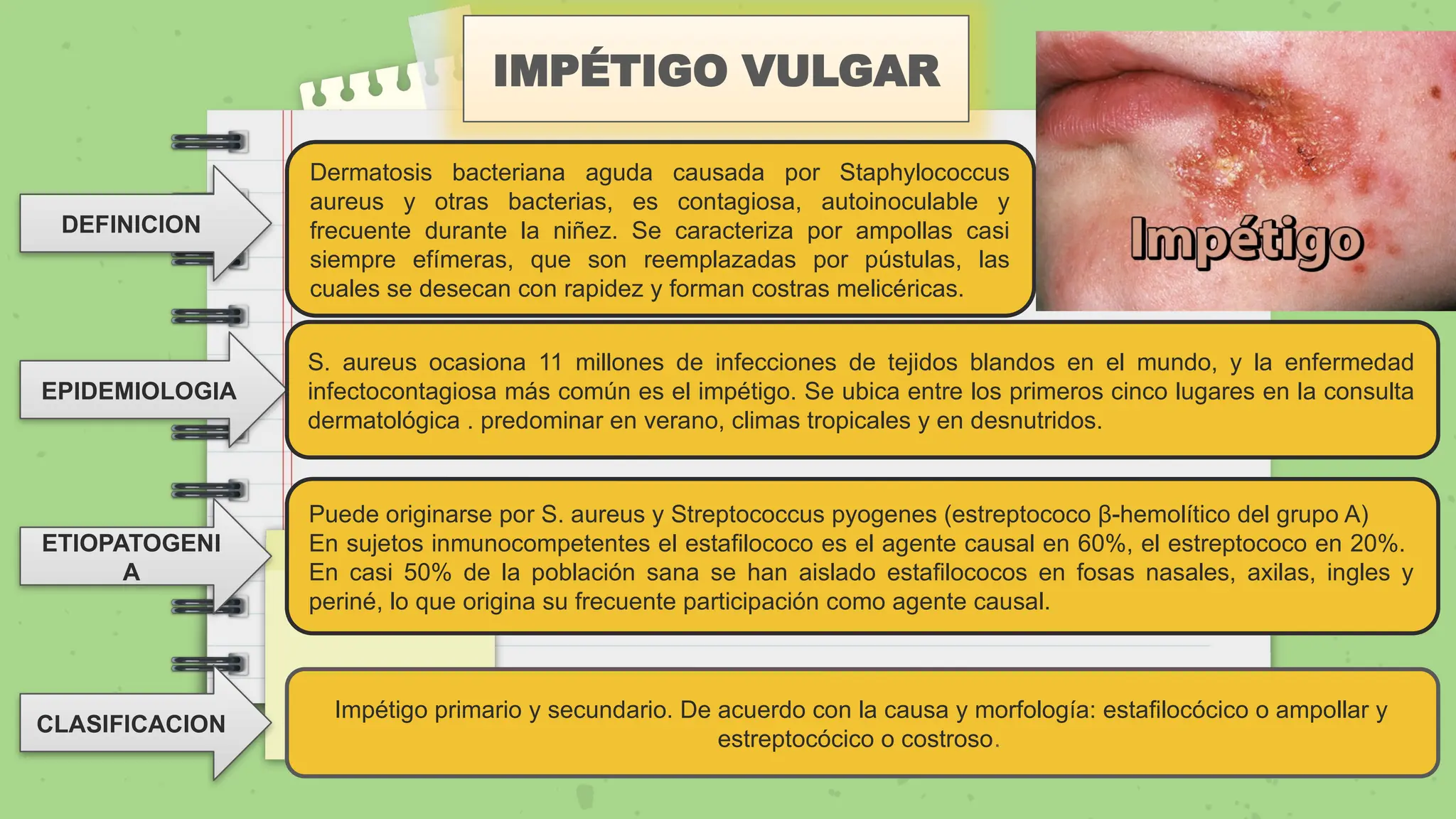 Deramtologia, Infección Bacteriana Impetigo | PPTX