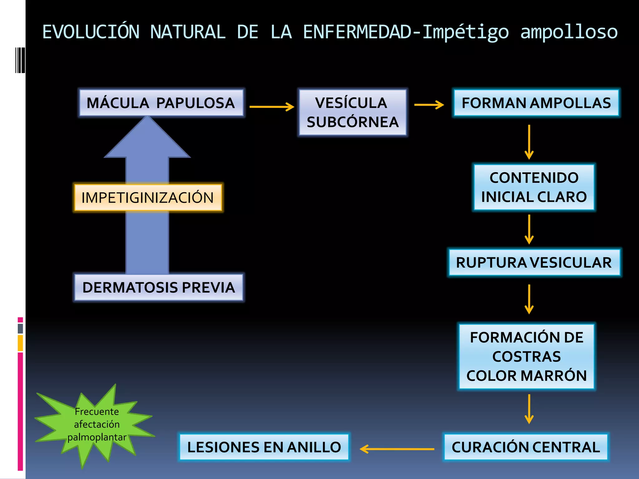 IMPETIGO y ERISIPELA - Fisiopatologia, Clinica e Histologia | PPTX