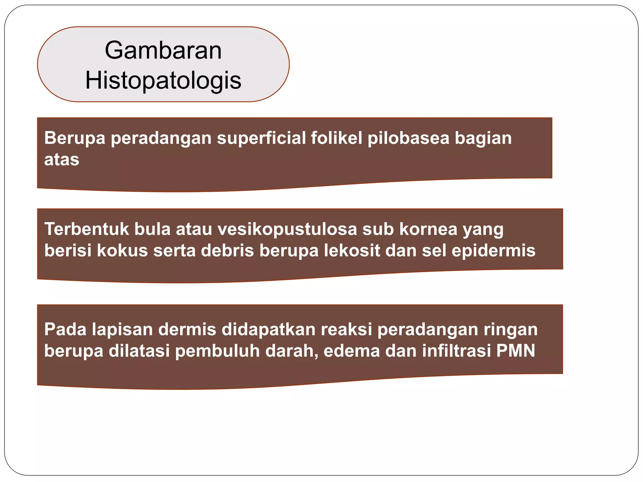 Impetigo Bullosa | PPTX