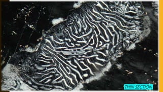 TEXTURES OF IGNEOUS ROCKS | PPTX