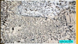 TEXTURES OF IGNEOUS ROCKS | PPTX