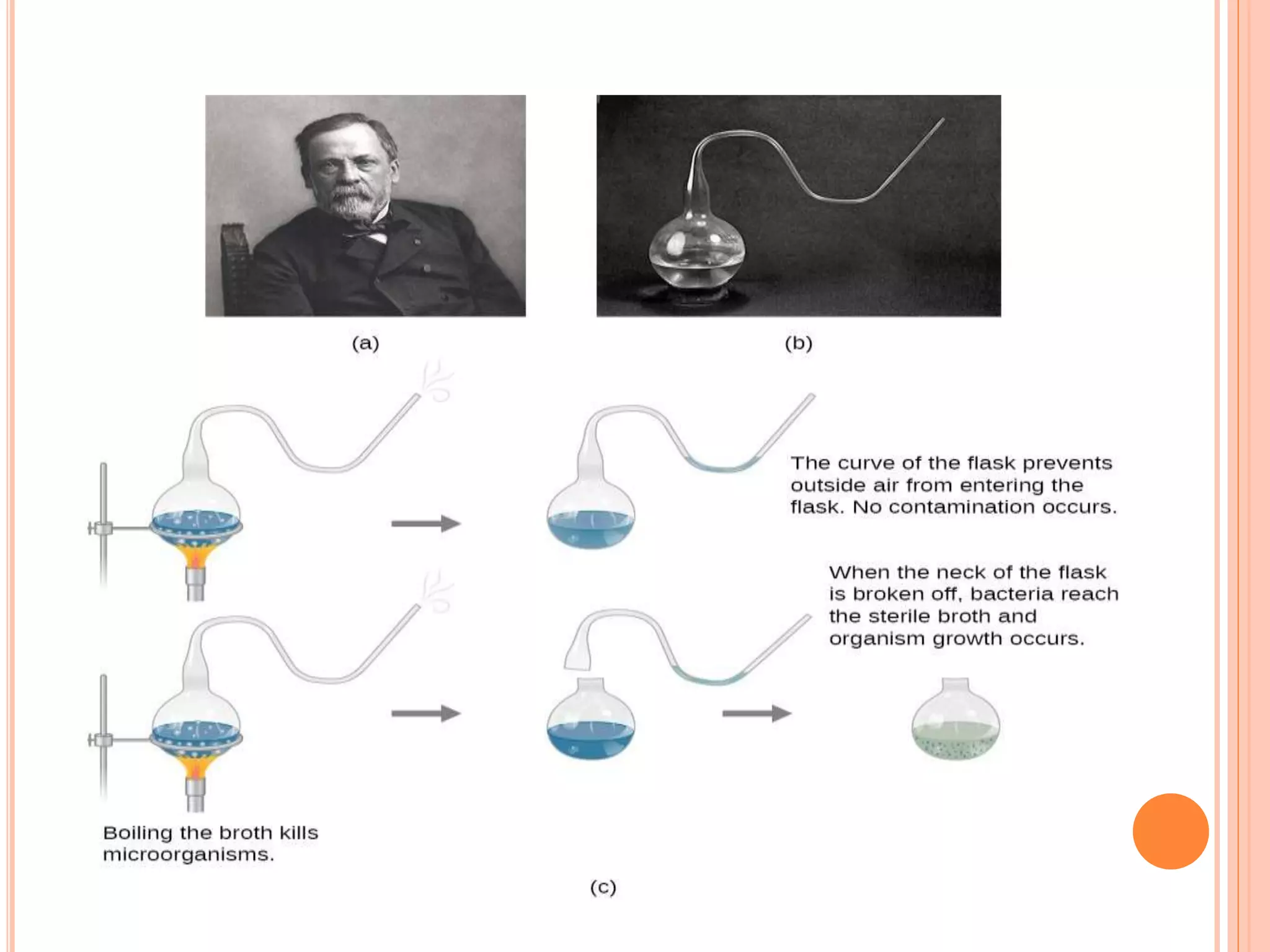 :History of Microbiology: Important events | PPTX