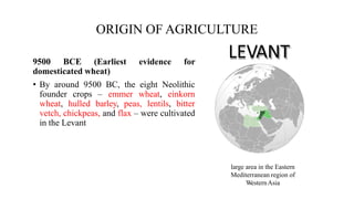 Imp History of Agriculture PPT.pptx