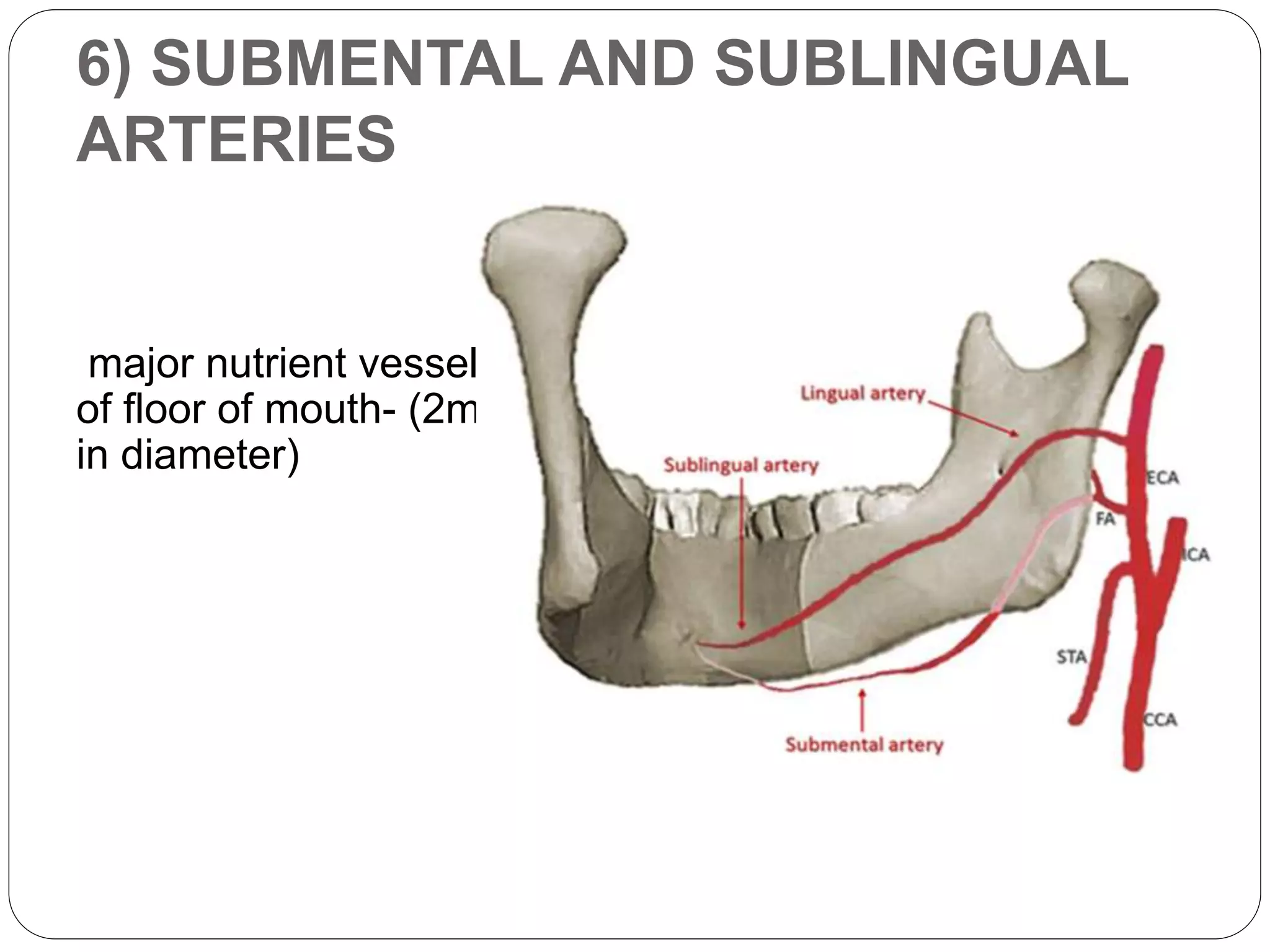 applied anatomy for denta Implant | PPTX