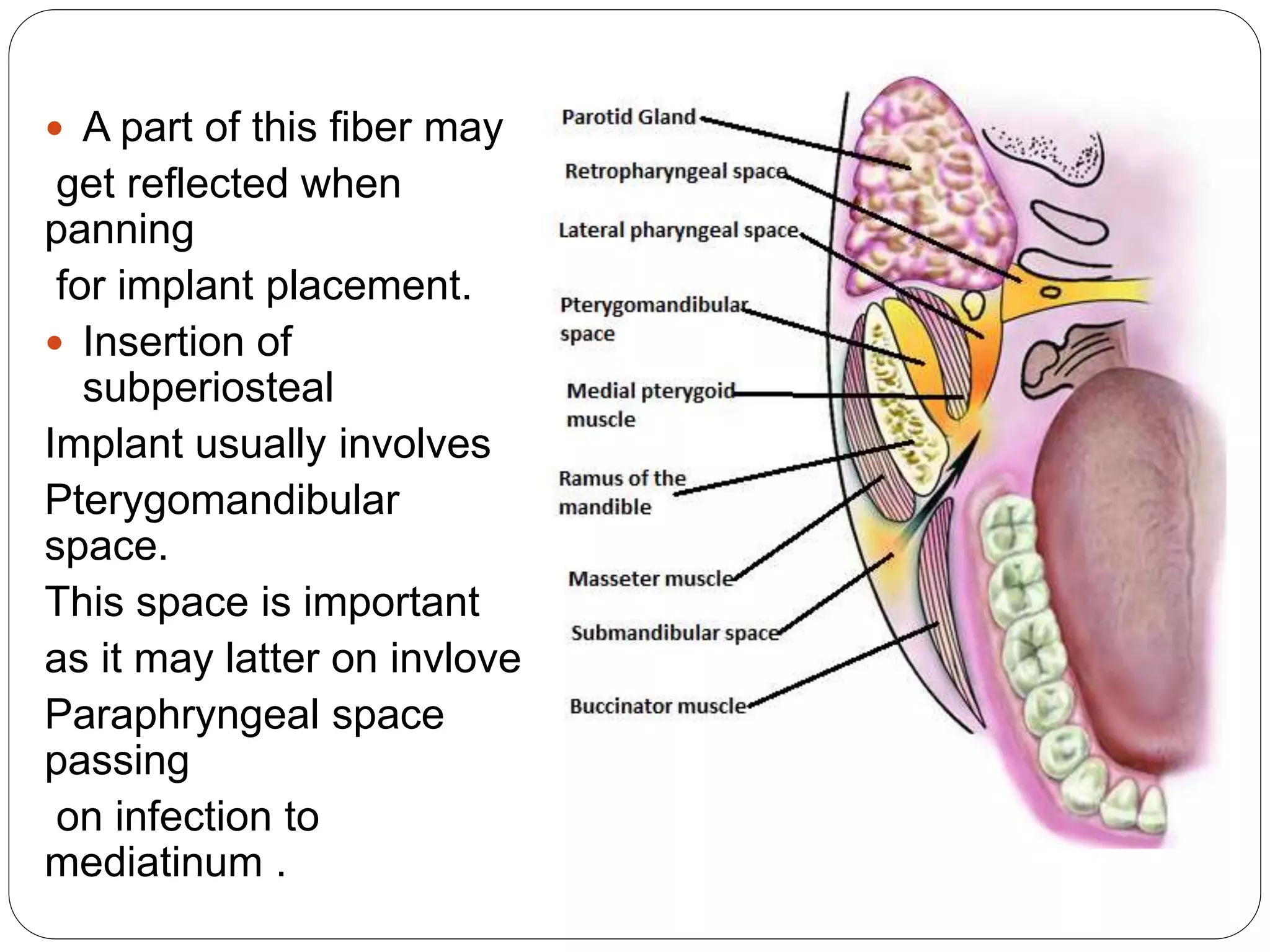 applied anatomy for denta Implant | PPTX