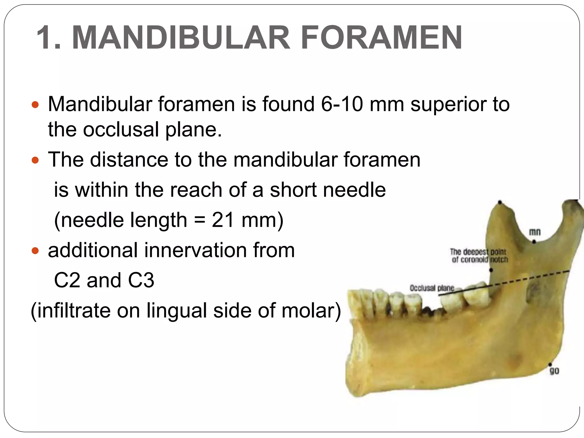 applied anatomy for denta Implant | PPTX