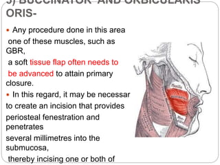 applied anatomy for denta Implant | PPTX