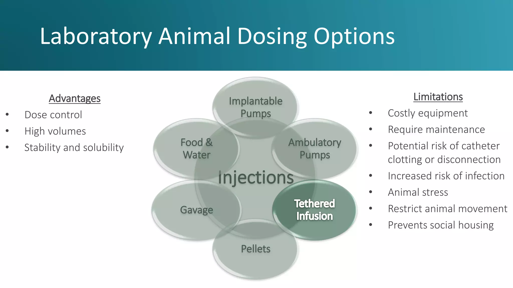 Implantable Infusion Pumps: Insights For Your Next Animal Dosing Study ...